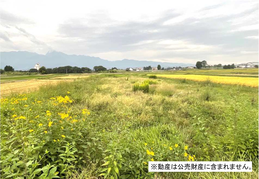 画像詳細｜公売情報