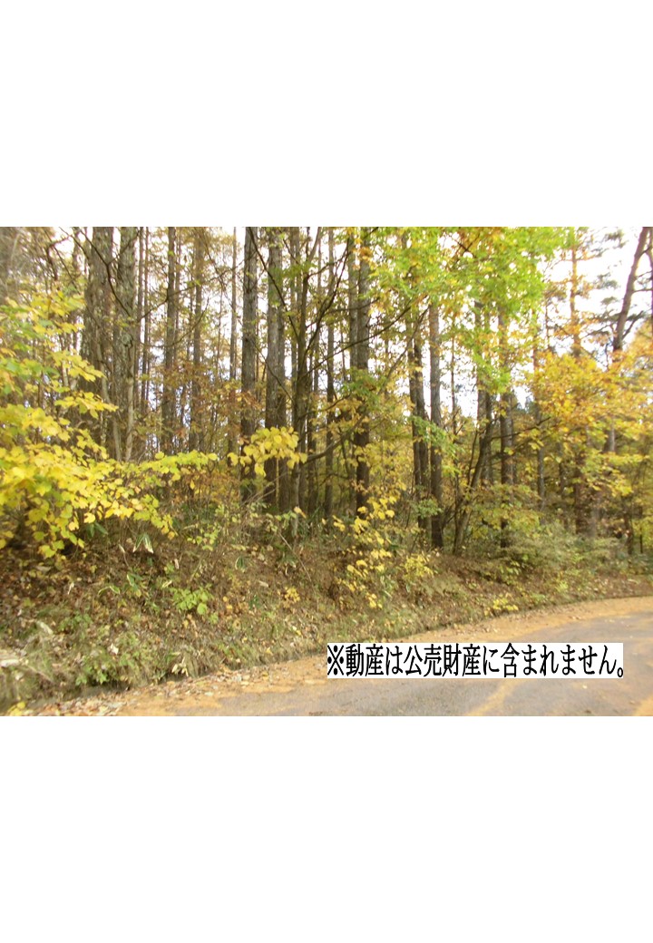 画像詳細｜公売情報