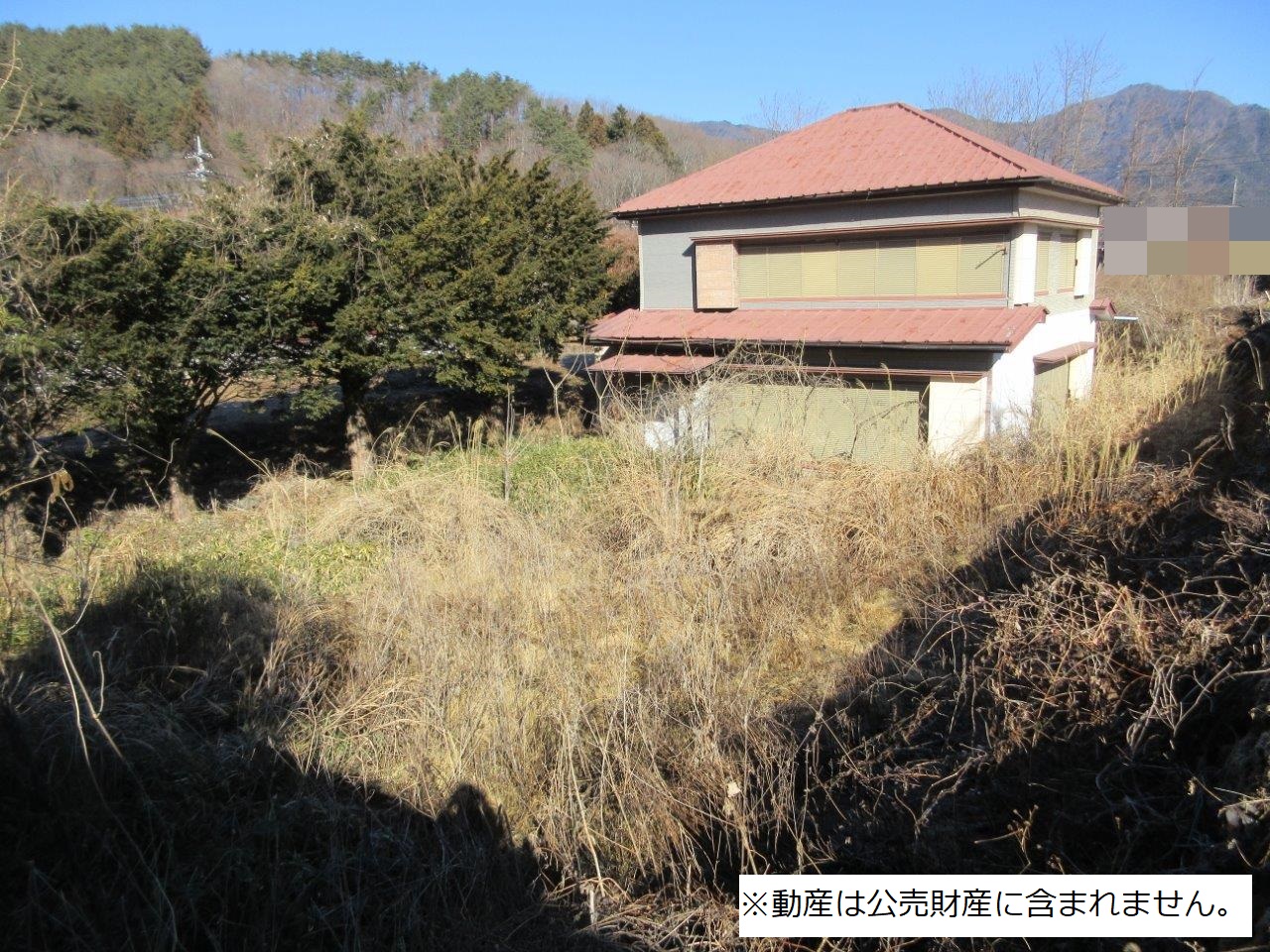 画像詳細｜公売情報