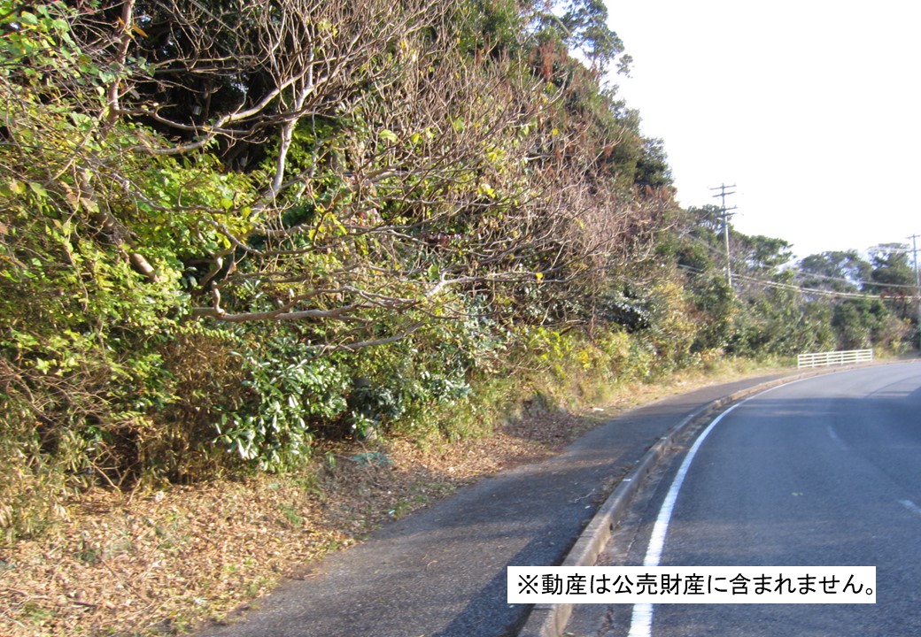 画像詳細｜公売情報