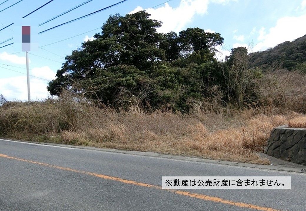 画像詳細｜公売情報