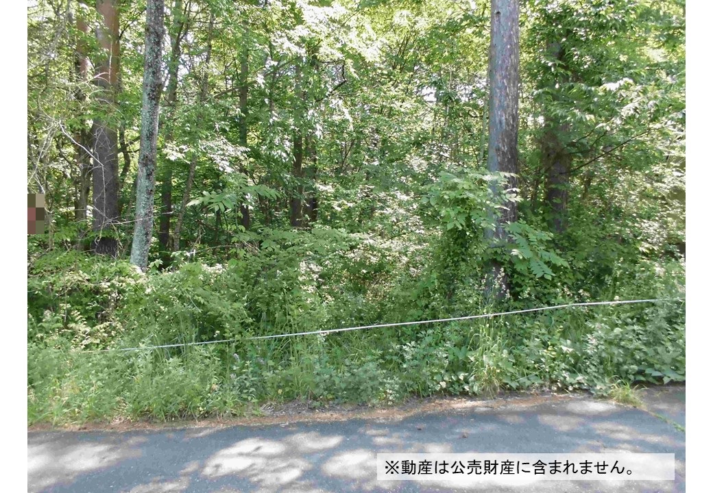 画像詳細｜公売情報