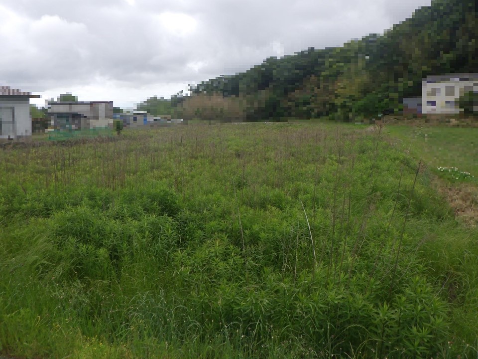 不動産一覧｜公売情報